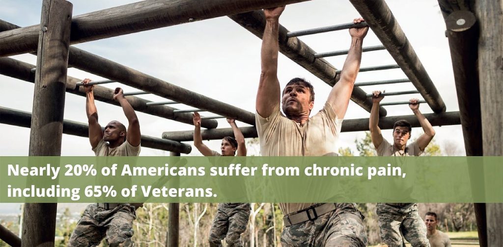 Conquer Chronic Pain With Our Armed Forces - Fogarty Chiropractic Life ...